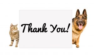 Thank you for your submission – The Humane Society of North Myrtle Beach